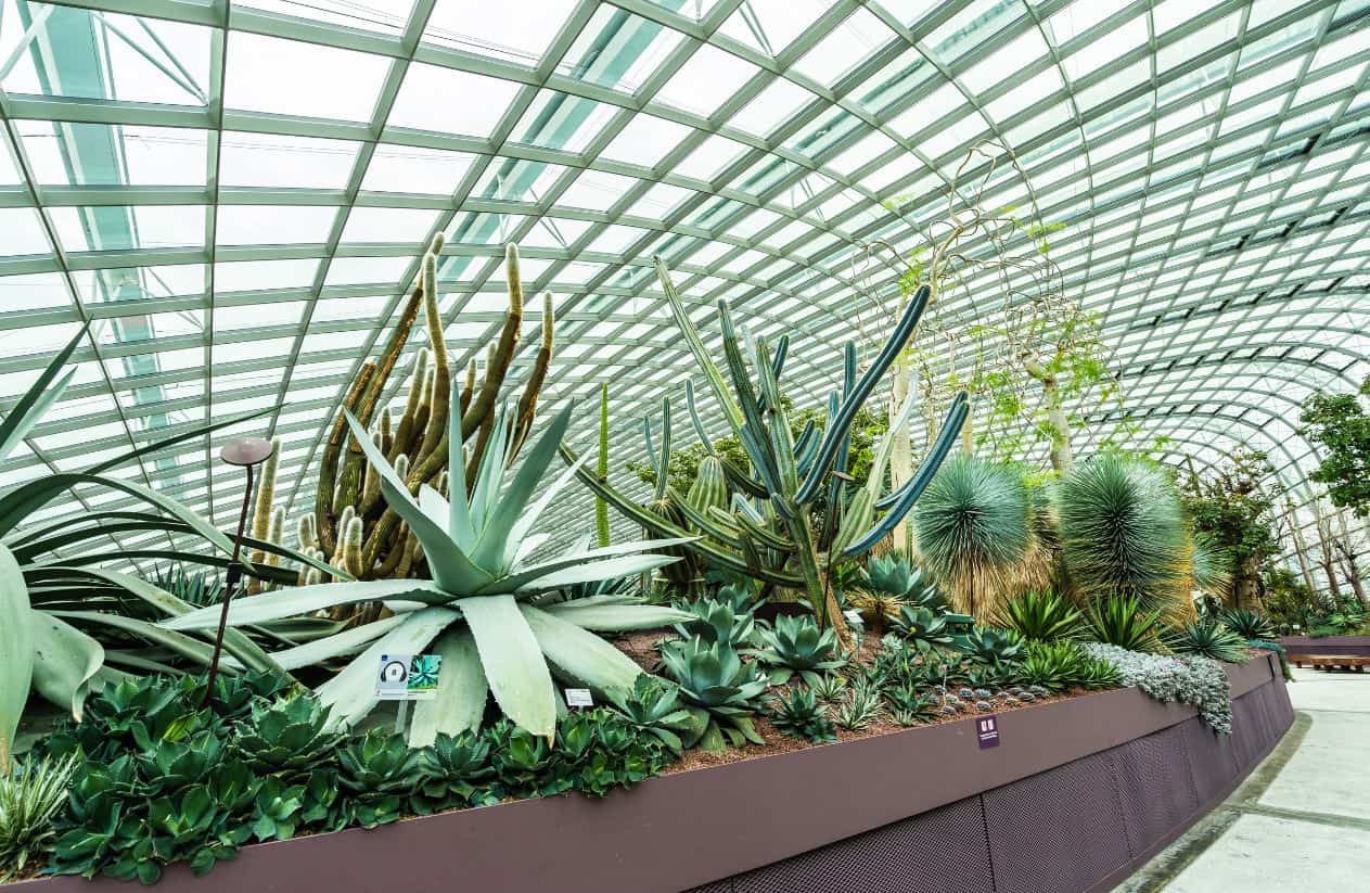 10 Charming Calgary Venues for Your Small Wedding Celebration - AGNT • BLOG