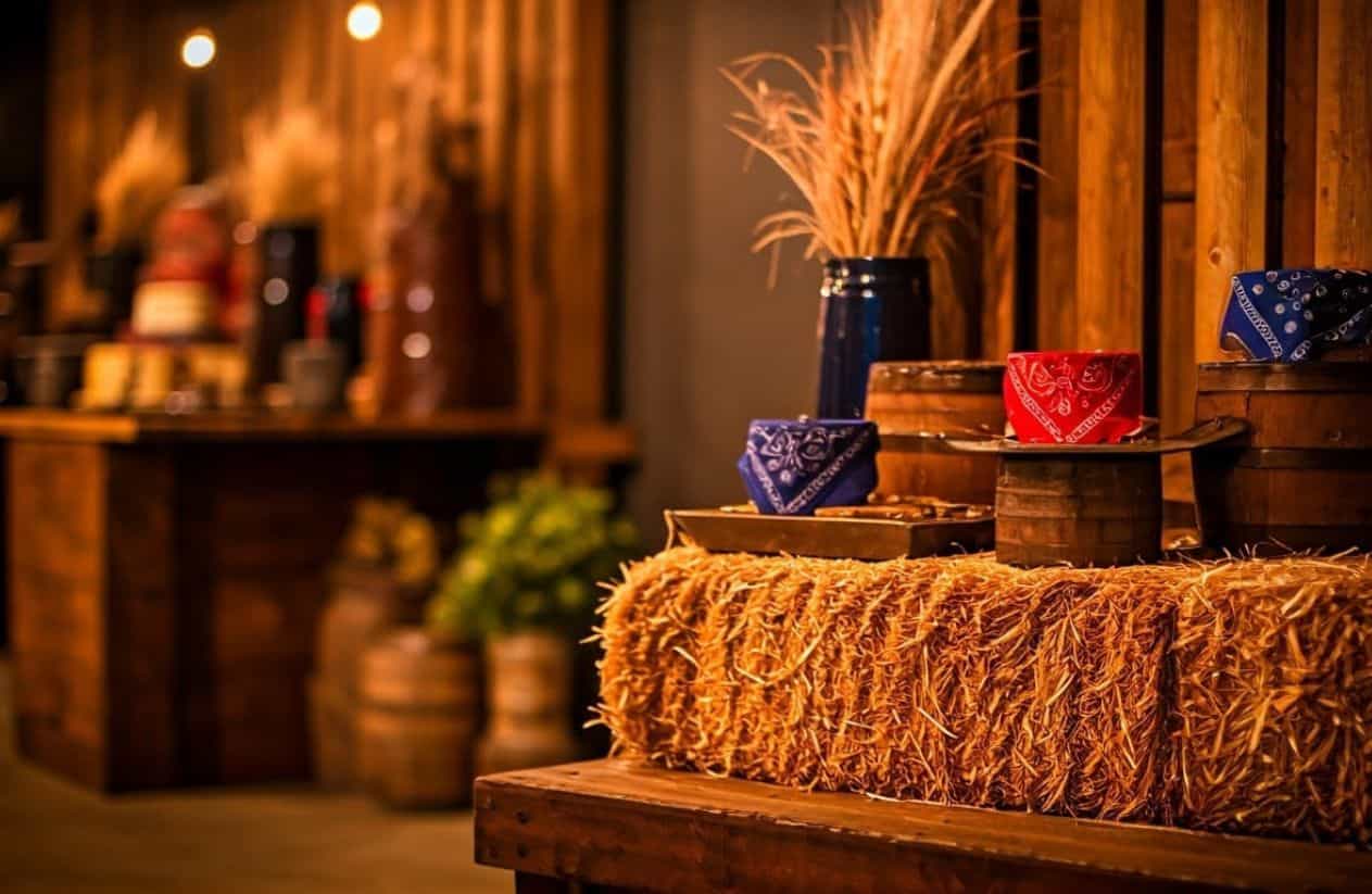 Your Essential Guide to Hosting a Fun Cowboy Theme Party
